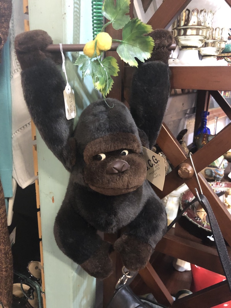 Scranberry Coop Snapshots – Monkey around a bit! - Scranberry Coop